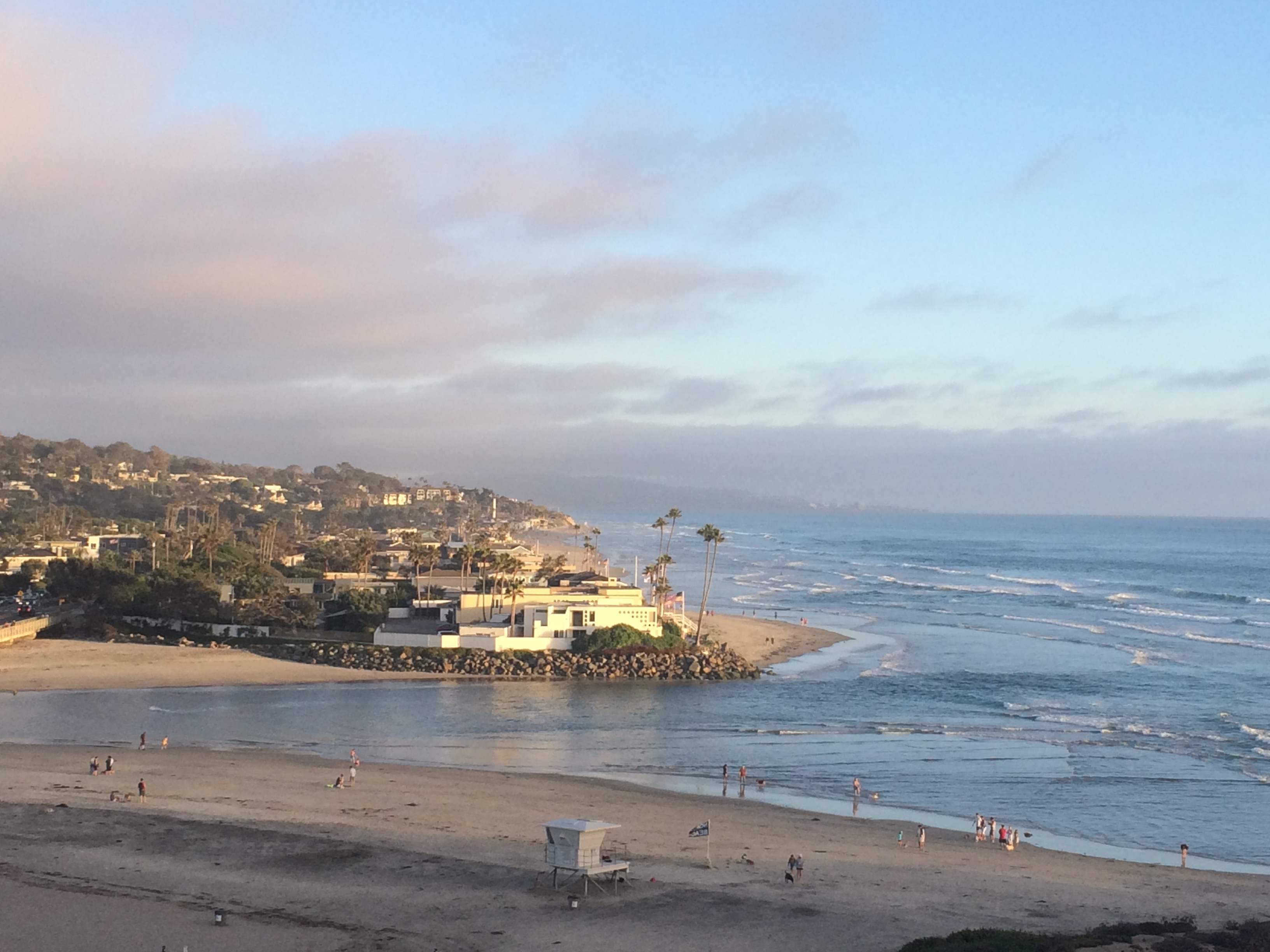 top of bluff dog beach | Debbie Hecht: Thoughts & Theories